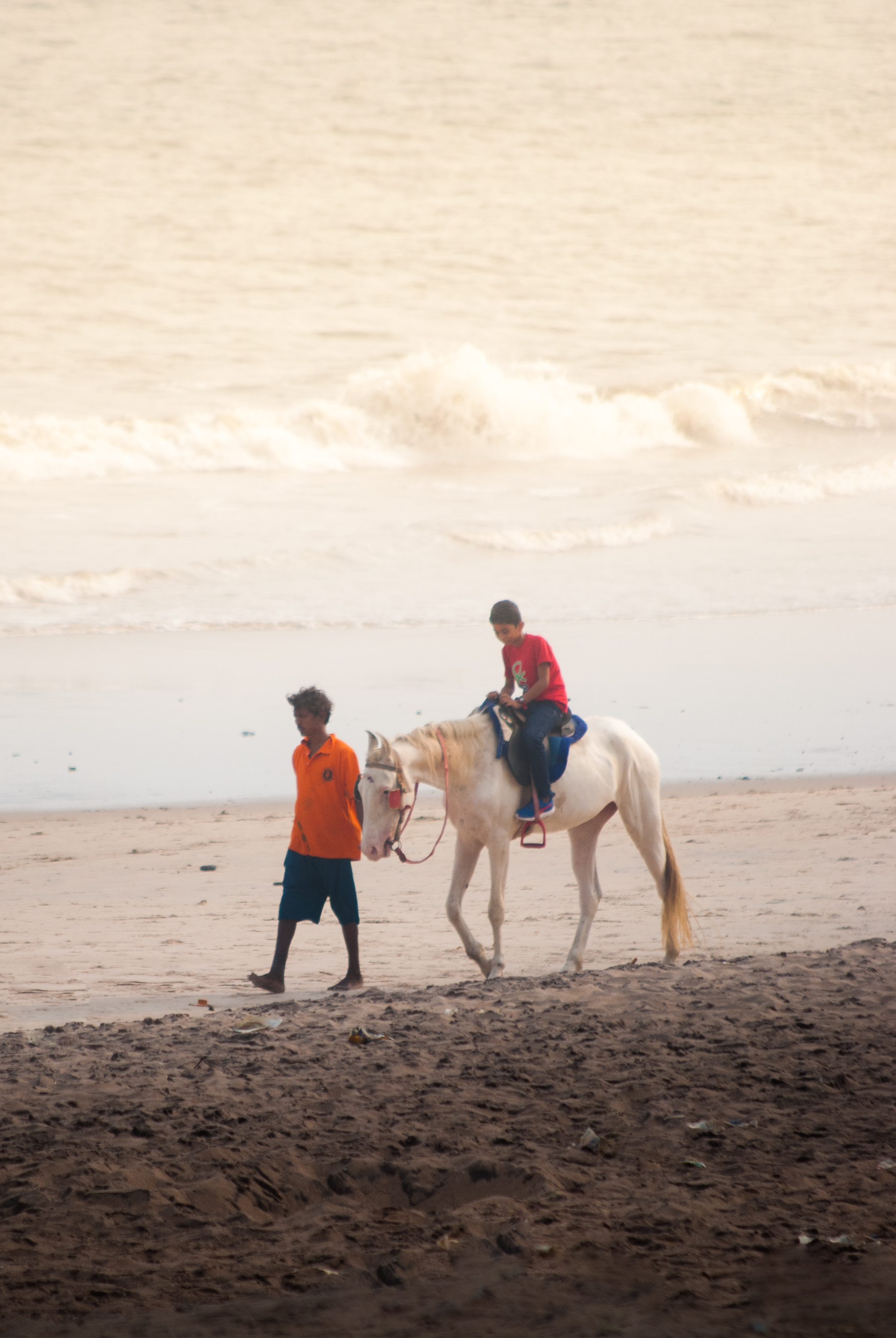 Harsha The Horrible | Photography